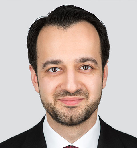 Abdul Haseeb Basit - GDF